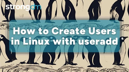 How to Add a User to a Linux Group (Step-by-Step Guide)
