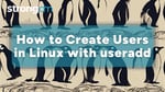How to List Users in Linux (9 Methods with Examples)