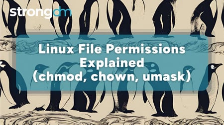 How to Add a User to a Linux Group (Step-by-Step Guide)